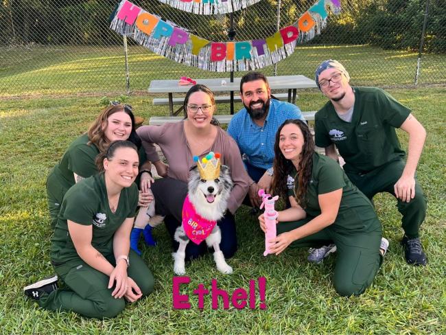 Markham Woods Animal Hospital: Top Rated Longwood Veterinarians